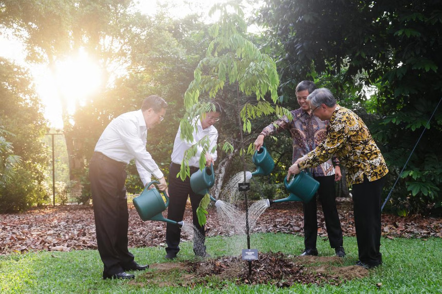Persimmon tree planted in Singapore to mark Suzhou Industrial Park’s ...